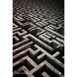 Labyrinth - Quiz | Quotev