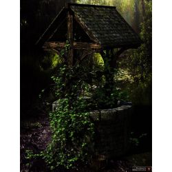 The Witching Well - Quiz | Quotev