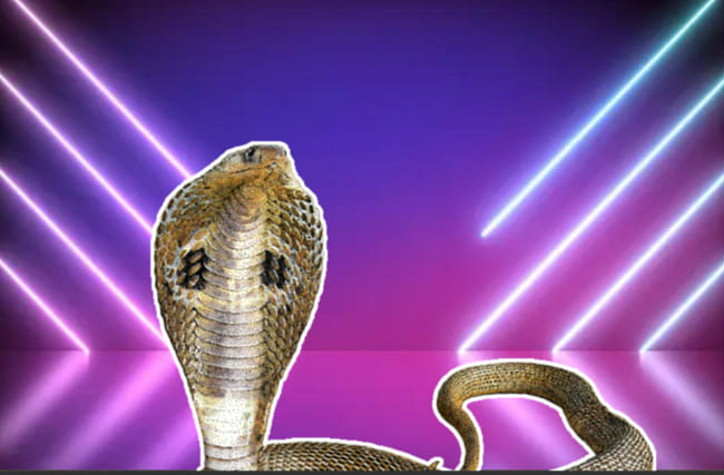 What kind of snek are you? - Quiz | Quotev