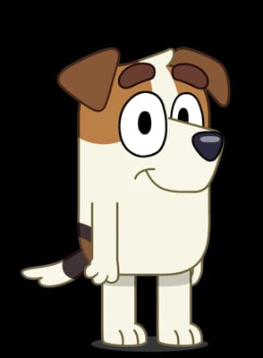 Guess the Bluey Character (72 QUESTIONS!) - Test | Quotev