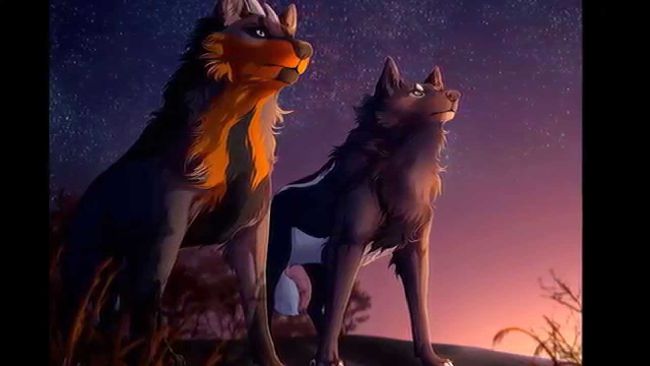 Your rank in the wolf pack - Quiz | Quotev