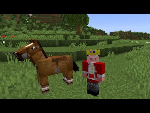 How well do you know TechnoBlade? - Test | Quotev