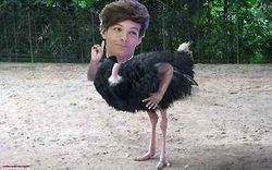 One Direction Horror Story - Kidnapped by who ? - part three - - Quiz ...