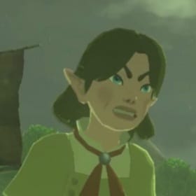 Guess the Botw NPC's - Test | Quotev