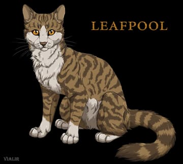 How well do you know Leafpool? - Test | Quotev