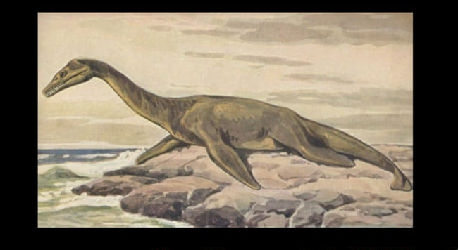 how well do you know your cryptids? - Test | Quotev