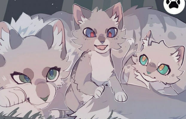 Name some kits/warriors and see your warrior's life - Quiz | Quotev