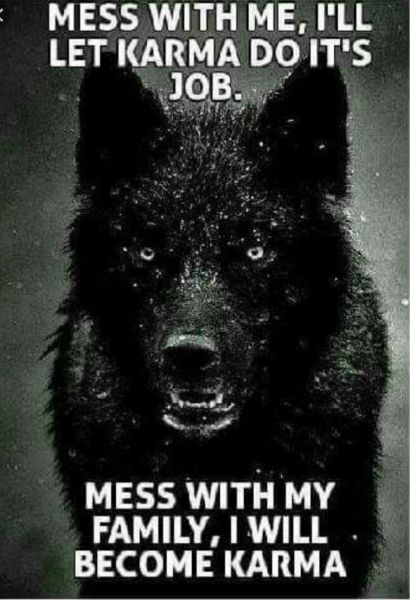 Are you an Alpha, Beta or Omega - Quiz | Quotev