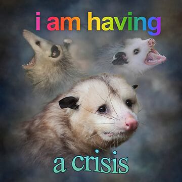 possum memes - Quiz | Quotev