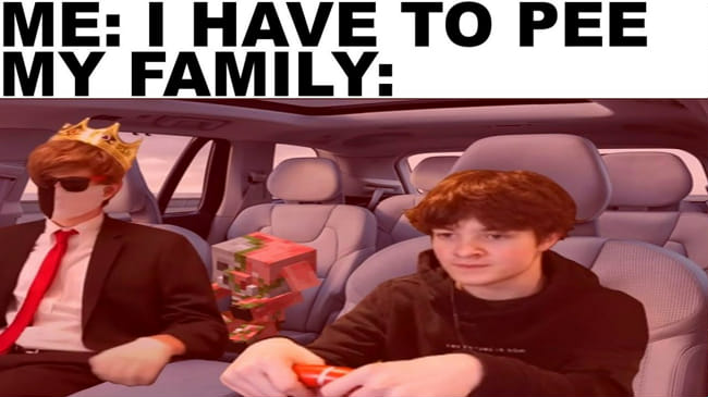 Pick Dsmp memes and get a Tommyinnit picture - Quiz | Quotev