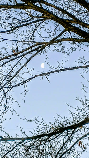 Help Choosing Boy Name - Poll | Quotev