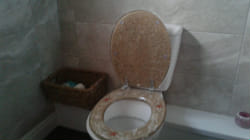 Ultimate Pee Challenge - Quiz | Quotev