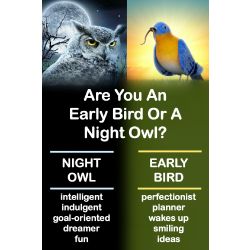 Are you an Early Bird or Night Owl? - Quiz | Quotev