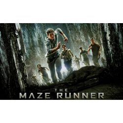 Who Would You Be In the maze Runner? - Quiz | Quotev