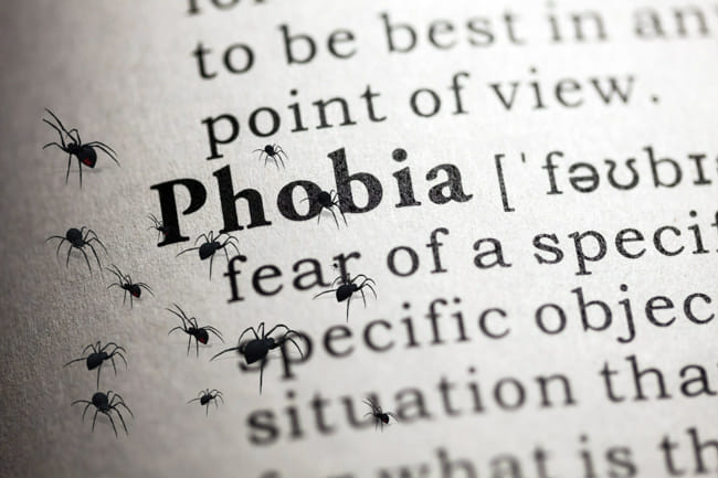 Do you know these phobias? - Test | Quotev
