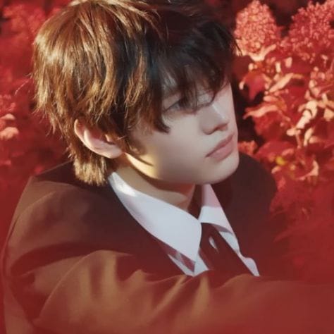 𝘸𝘩𝘪𝘤𝘩 𝘥𝘢𝘳𝘬 𝘮𝘰𝘰𝘯 𝘤𝘩𝘢𝘳𝘢𝘤𝘵𝘦𝘳 𝘢𝘳𝘦 𝘺𝘰𝘶? - Quiz | Quotev