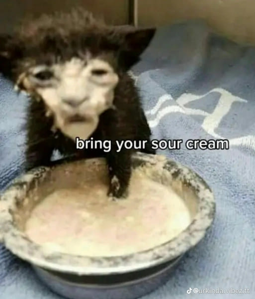 Get some lunch - Quiz | Quotev