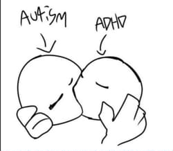 Guess the Anime by my horrible description - Test | Quotev