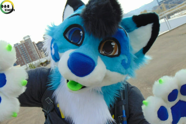 Stormi Folf quiz - Test | Quotev