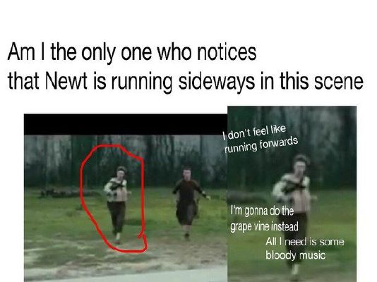 TMR/TBS Memes Try Not to Laugh - Quiz | Quotev