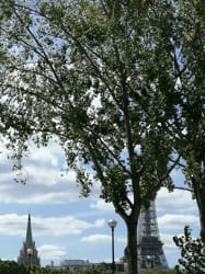 Guess the capital city - Test | Quotev