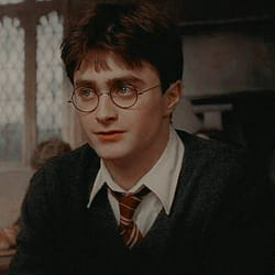 Have a conversation with Harry Potter! - Quiz | Quotev