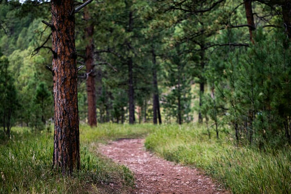 The Path You Take — A Hidden Journey - Quiz | Quotev
