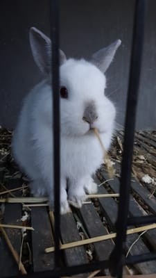 Take this if you are sad. UwU - Quiz | Quotev