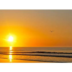 Which Sunset Matches Your Personality? - Quiz | Quotev