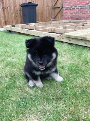 How well do you know Ldshadowlady :) - Test | Quotev