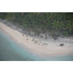 If you were stranded on a dessert island would you survive? - Quiz | Quotev