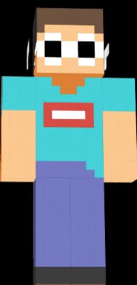 Guess the DSMP by their Minecraft skin - Test | Quotev