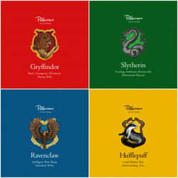 What is your Hogwarts house? - Quiz | Quotev