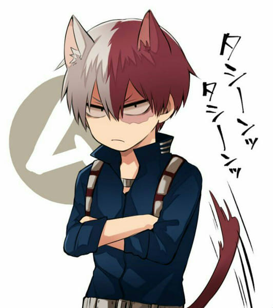 Choose Cat's And Get A Picture Of Todoroki - Quiz