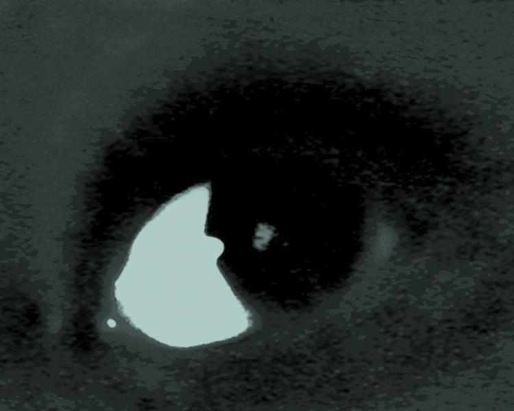 Ari Loves You | Quotev