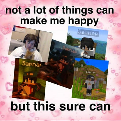 Choose a DSMP meme get a DSMP meme - Quiz | Quotev