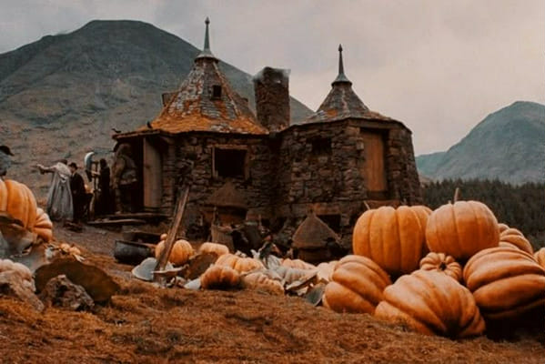 Your life in Hogwarts (fall edition) - Quiz | Quotev