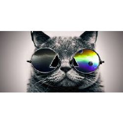 How cool are you? - Quiz | Quotev