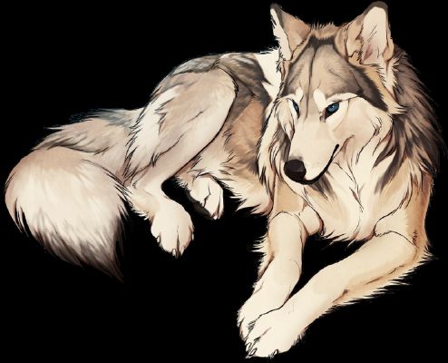 Your werewolf fur color - Quiz | Quotev