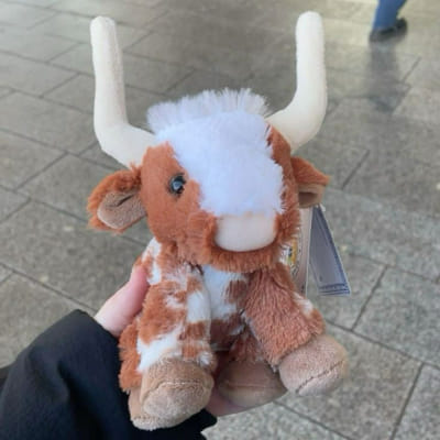 omegaverse quiz - Quiz | Quotev