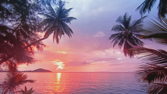 Does Jax have a crush on you? - Quiz | Quotev