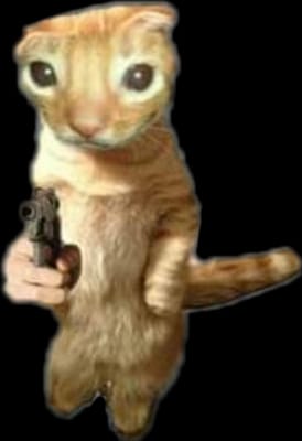 What animal would you be? - Quiz | Quotev