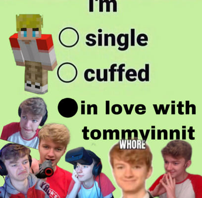 Choose a DSMP meme get a DSMP meme - Quiz | Quotev