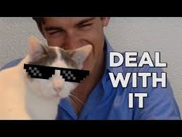 How Well Do YOU Know MatPat? - Test | Quotev