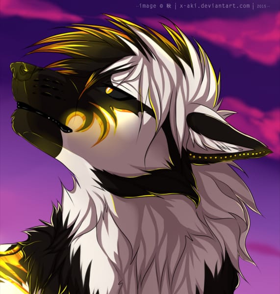 Pick Some Pictures and Get An Elemental Wolf - Quiz | Quotev