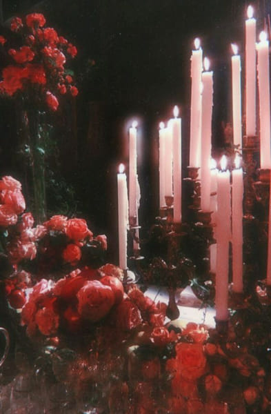 𝐑𝐞𝐝𝐚𝐦ō 𝐢 || Vampires x Reader - Quiz | Quotev