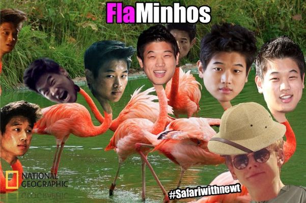 TMR/TBS Memes Try Not to Laugh - Quiz | Quotev