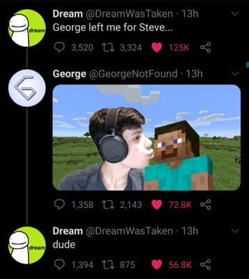 Cursed Images - Dream SMP Edition - Quiz | Quotev