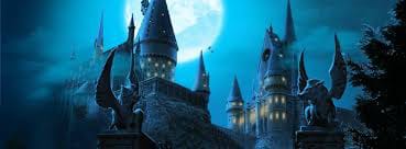 Do You Have The Same Harry Potter Opinions As Everyone Else? - Survey ...