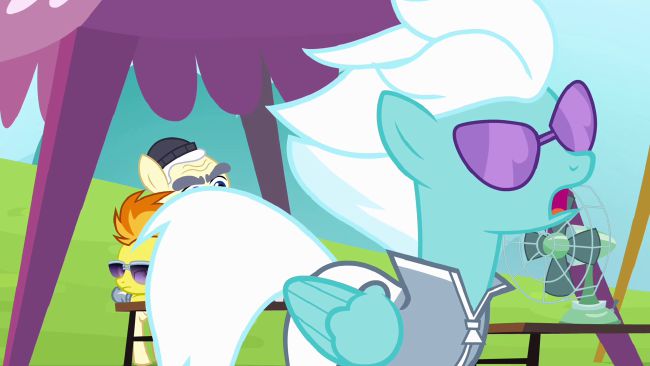 Guess the MLP character. - Test | Quotev